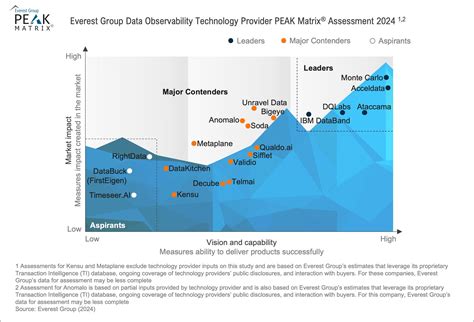 Data Observability Technology Provider Peak Matrix® Assessment