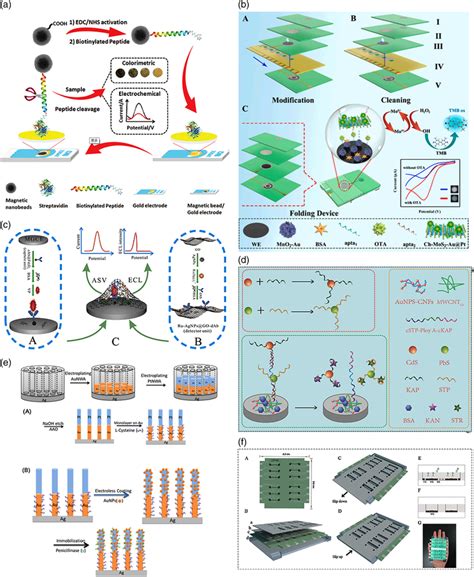 A Scheme Of The Peptidemagnetic Bead Biosensor For Staphylococcus