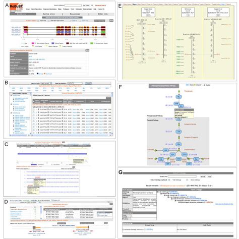 Common Molecular Taxonomy Sequence Annotations In Robust Download Table