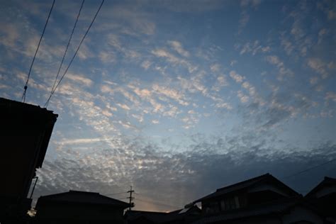 夕方 By Dryer （id：11429104） 写真共有サイトphotohito