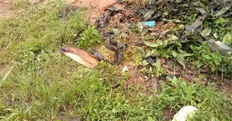 G1 Adolescente De 16 Anos é Morto Com Três Tiros Em Coronel