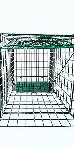 Amazon.com : Folding Large Collapsible Humane Live Animal Cage Trap No-Kill Trapping Kit for ...