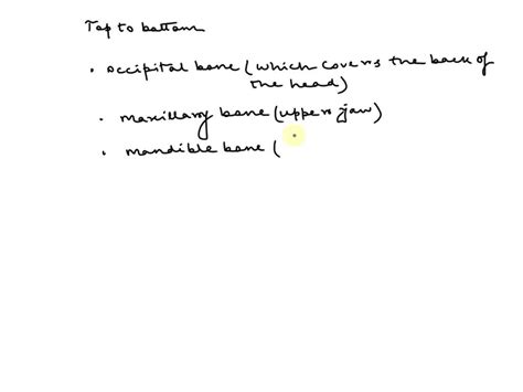 Solved Label The Bones And Bone Features Shown On The Radiograph