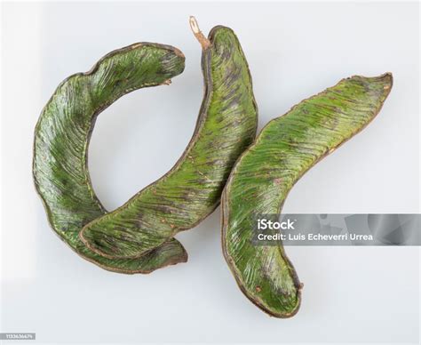 Fresh Inga Fruit The Guama Fruit Tropical And Exotic From South America