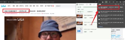 关于edge浏览器以及插件推荐【亲测好用】microsoft Edge插件 Csdn博客