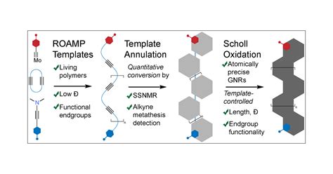 Templated Synthesis Of End Functionalized Graphene Nanoribbons Through