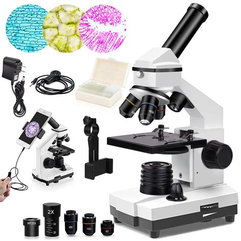 5 Best Compound Microscopes Reviews Updated 2026 Ico Optics