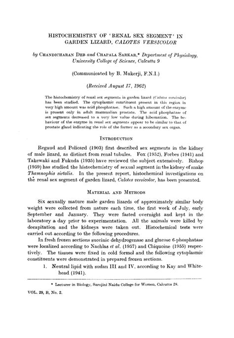 Pdf Histochemistry Of Renal Sex Segment In Garden Lizard Calotes