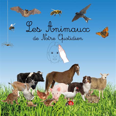 Livres Le Plaisir D Apprendre Lsf 2 Langues Pour Une Communication