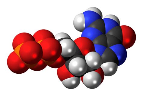 Difference Between Ball And Stick And Space Filling Model Compare The Difference Between