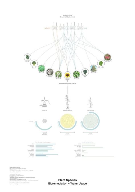 The Plant Species Are Shown In This Diagram Which Shows How Many