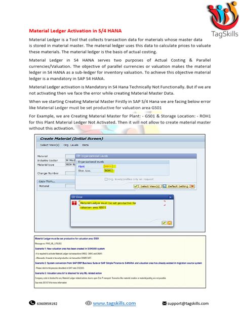 Material Ledger Activation In S4hana Pdf Computer Science Computing
