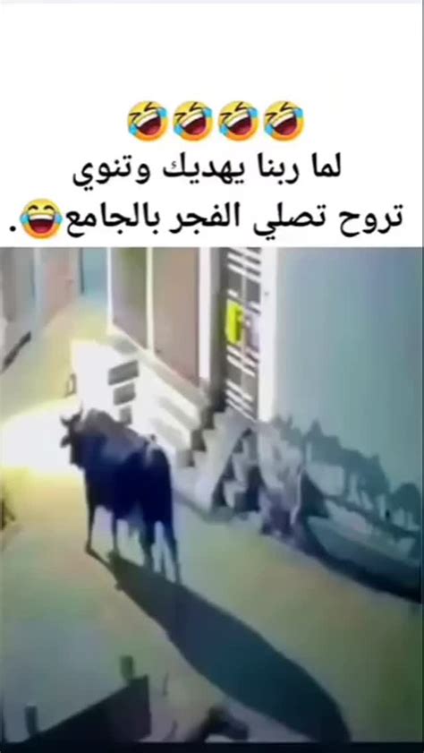 Mãĥ Mòûđ ‎🤣🤣🤣🤣🤣🤣💔 اضحكمن قبلك وبس 🤍 Instagood Instagram