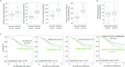 the relationship between oral cancer and the expression levels of