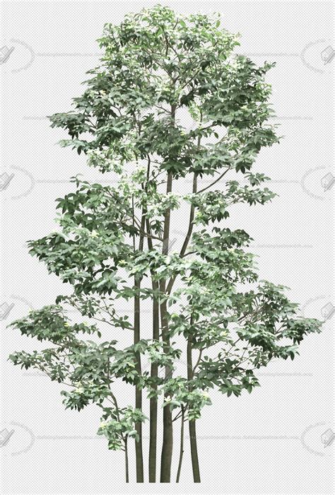 Packs CUT OUT Vegetation Trees CUT OUT TREES PACK 6 00041