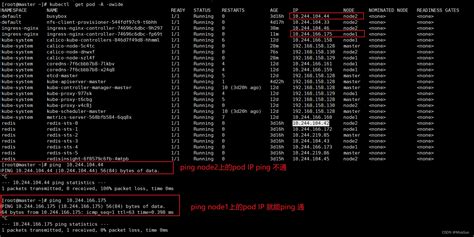 Bird Netlink Network Is Downcalico存在问题 Csdn博客