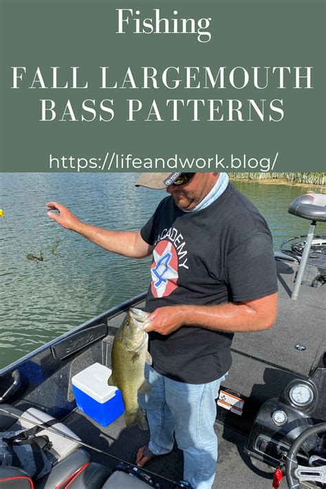 Fall Largemouth Bass Patterns