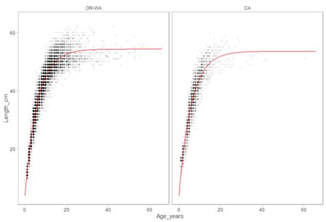 Growth Patterns · Pfmc Assessments Canary2023 · Discussion 21 · Github