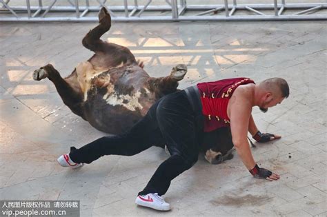 我驻意大利使馆举行国庆68周年招待会 国际 人民网