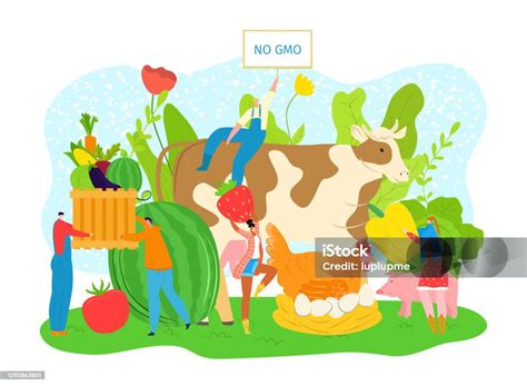 식품 과일 야채 농업 시장 플랫 팜 논 Gmo 제품 벡터 일러스트 건강한 유기농 식물 성 식품을 가진 남자 여성 캐릭터 유전자