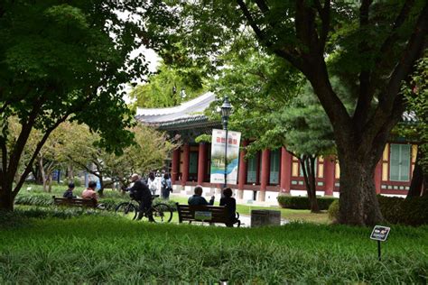 대구 중구 가볼만한 곳 경상감영공원 따로국밥 수제화 골목 뚜벅이 여행