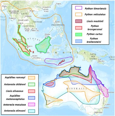 Approximate Geographic Distributions Of Python Species Examined In This