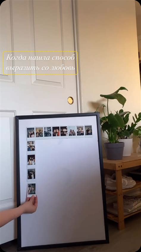 ФУТБОЛКИ С ПОЦЕЛУЯМИ БИШКЕК Kissbox Kg • Instagram Photos And Videos