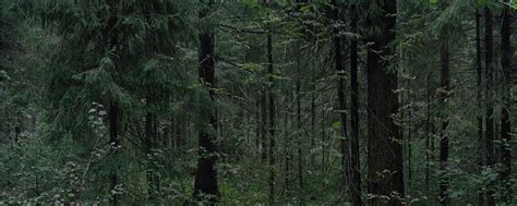 Escape Danila Tkachenko Formagramma