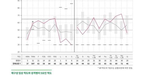 Mmpi 2 미네소타 다면적 인성검사 필마인드 심리상담 숨고 숨은고수