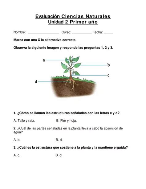 Evaluación ciencias Las plantas Primer año profe social