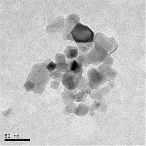 Transmission Electron Microscopy Tem Image Of The Download