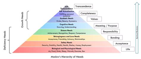 Foundations Final Flashcards Quizlet