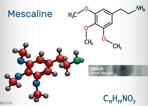 메스칼린 분자 그것은 환각 환각 페네틸아민 알칼로이드입니다 구조적 화학 식 및 분자 모델 화학 과학에 대한 스톡 벡터 아트 및 기타 이미지 Istock
