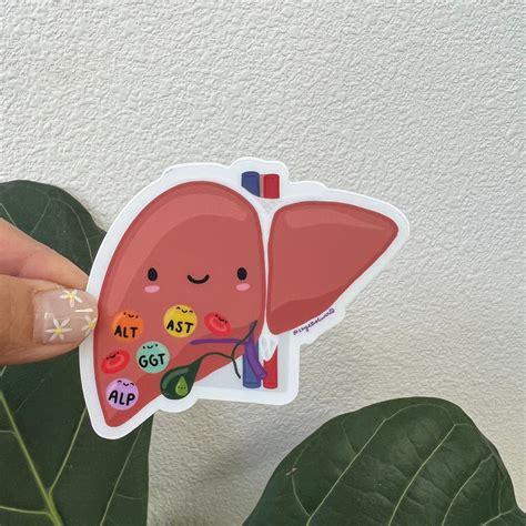Liver Sticker Skye And Oliver