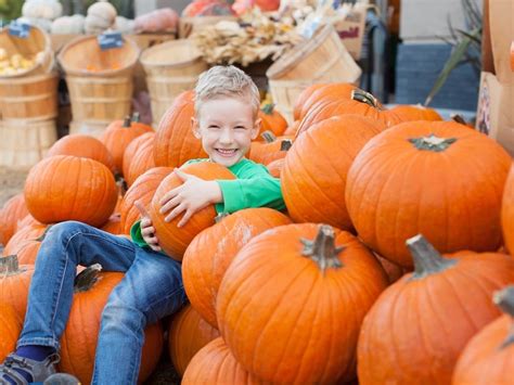 Where To Pick Pumpkins In And Around The East Bay Alameda Ca Patch