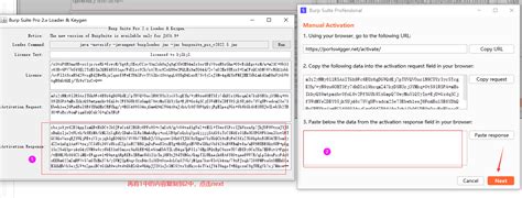 burpsuite安装激活 爱喝冰糖雪梨 博客园