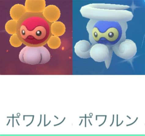 ※色違い※ポワルン（たいよう、ゆきぐも）ピカチュウ（シンガポール）、紫風船ピカチュウ、コマタナ｜ポケモンgo｜ゲームクラブ