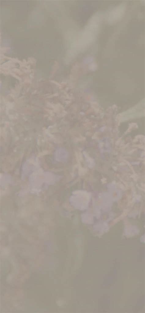 Informell N°3 2023 By Gemeng Ell Issuu