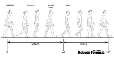 Gait Analysis In Slip Or Trip Investigations