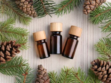 Pinetastic 10 Pine Diffuser Blends To Try