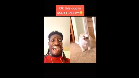 3colorzzz Funny Duets Tiktok Compilation Youtube
