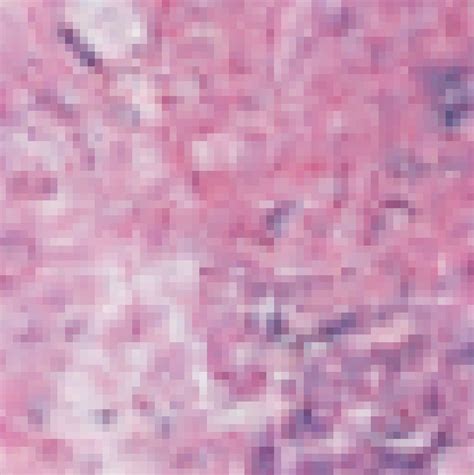 Examples Of Images Generated By The Conditional GAN During The Training Download Scientific