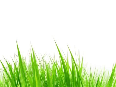 Premium Photo Green Grass On White Background Vector Photo