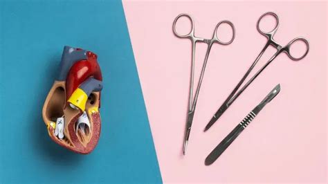 What To Avoid After A Stent A Guide For Optimal Healing Credihealth