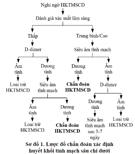 Chẩn đoán Huyết Khối Tĩnh Mạch Sâu Chi Dưới Hội Tim Mạch Học Việt Nam