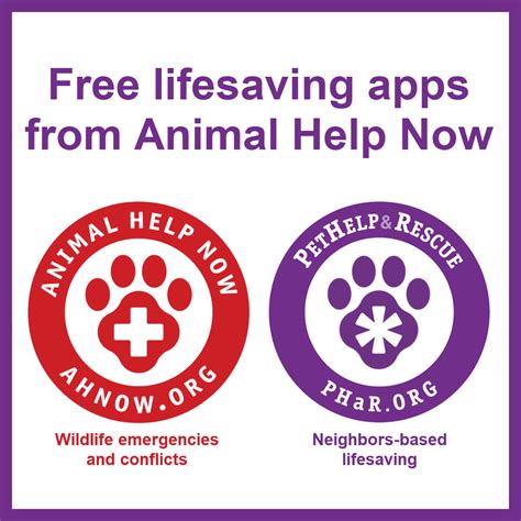 Pet Help And Rescue About