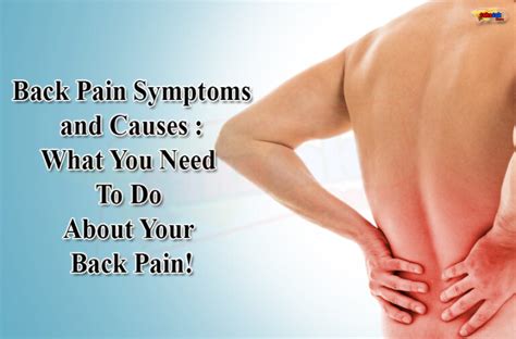 Back Pain Symptoms And Causes What You Need To Do