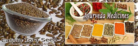 Brown Puvad Seed Charota Seed Puwad Chakvad Packaging Size 50 Kg