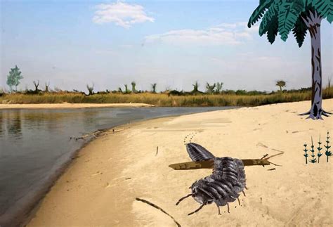 Largest Ever Millipede Fossil Discovered In Northern England Here And Now