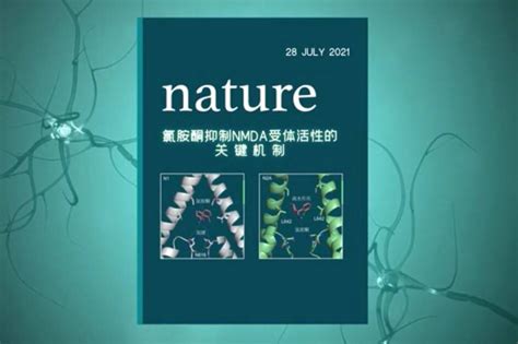为设计新型抗抑郁药物找到突破 中国科学家揭示氯胺酮快速抗抑郁分子机制